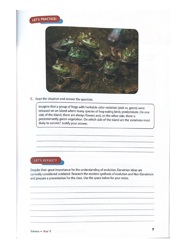 Let's Practice! | PDF