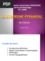 Syndrome pyramidal : définitions et signes | PDF | Nerf | Accident ...