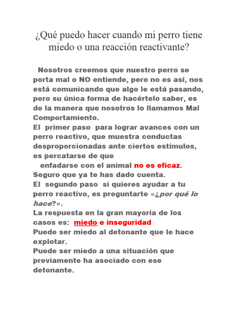 Primeros Pasos Para Entender A Tu Perro Pdf