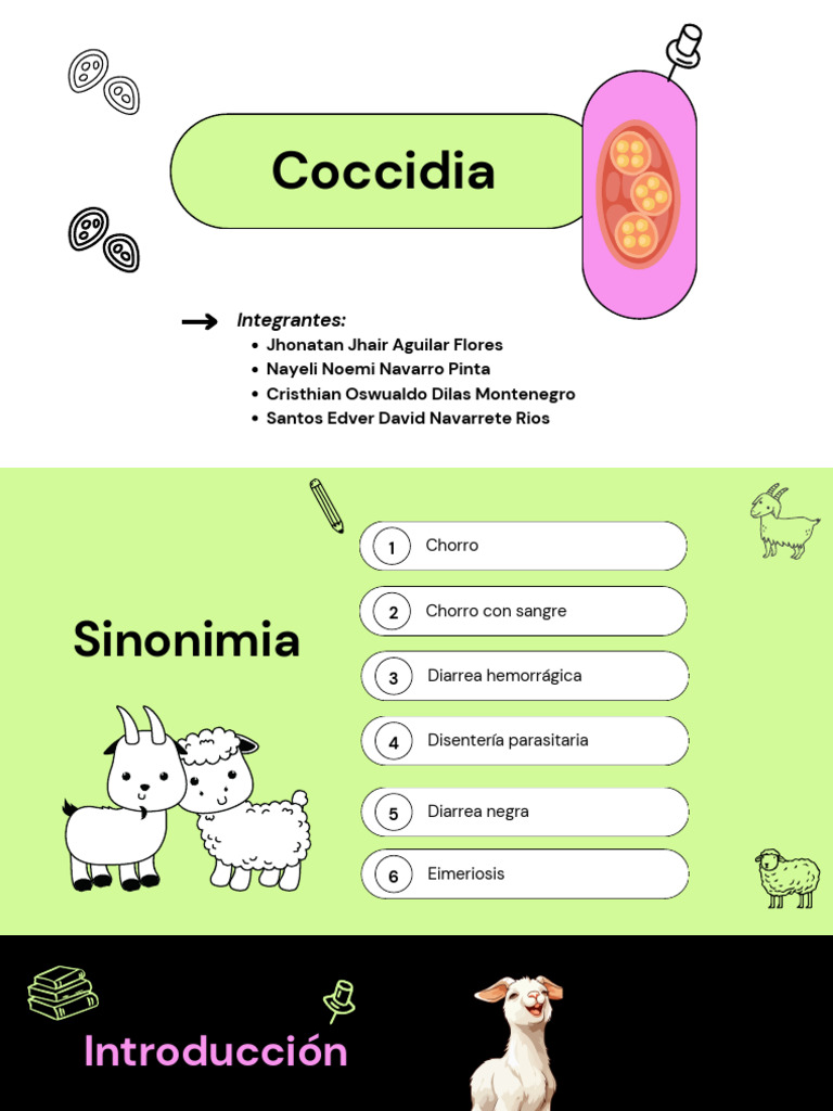 Caso Clínico. Coccidia | PDF | Diarrea | Intestino delgado