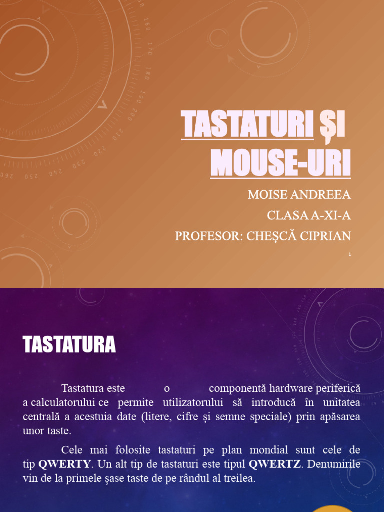 Tastatuă Și Mouse-Referat | PDF