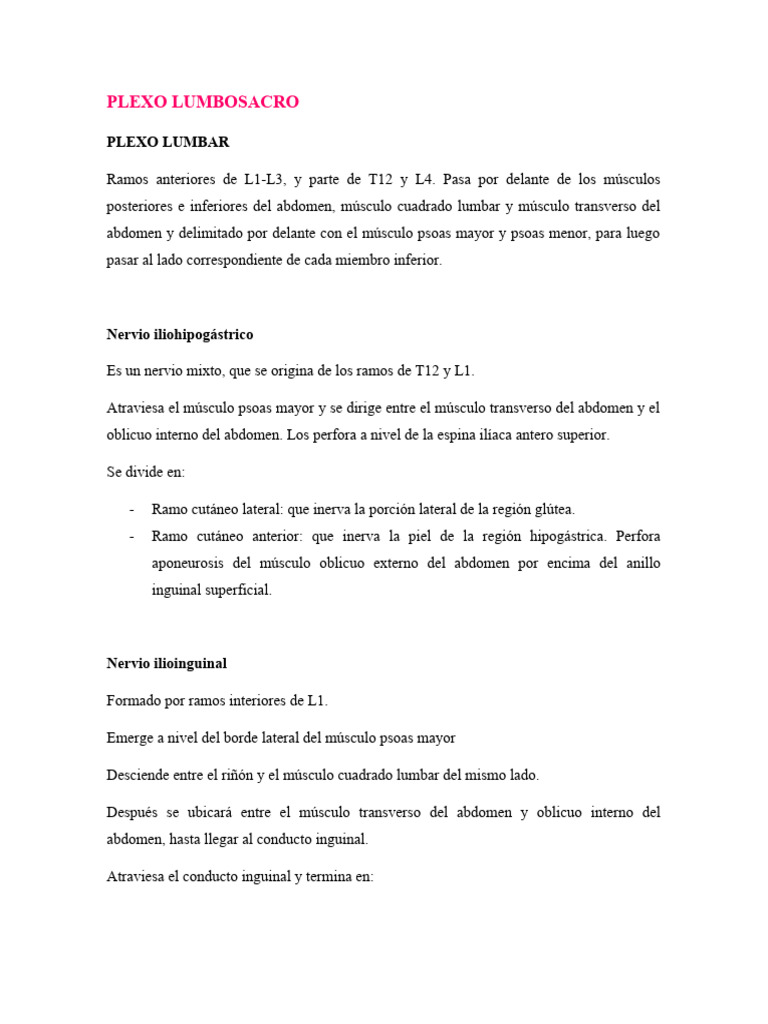 Plexo Lumbosacro | PDF | Tejido suave | Neuroanatomía