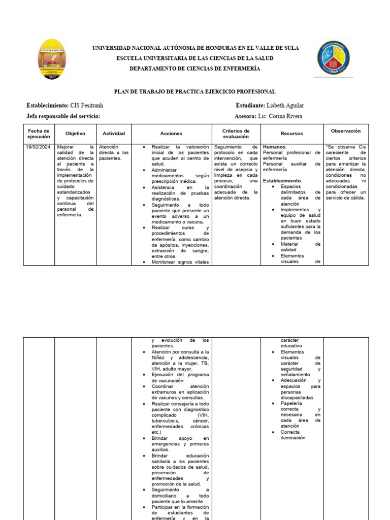 Plan de Trabajo Funciones de Enfermeria | Descargar gratis PDF | Enfermería | Planificación