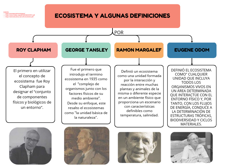 Mapa Conceptual | PDF | Ecosistema | Teoría de sistemas
