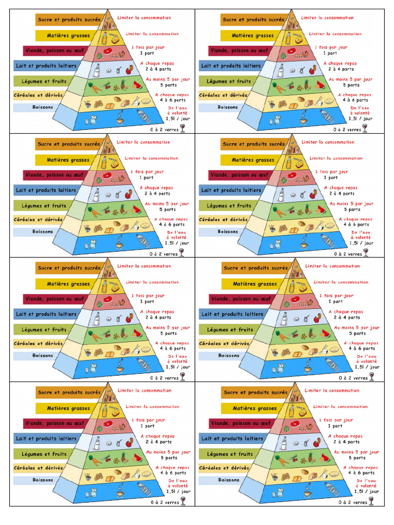 La Pyramide Alimantaire Fiche D'élève | PDF
