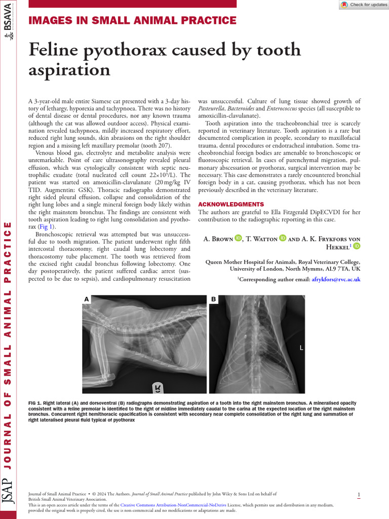 J of Small Animal Practice - 2024 - Brown - Feline Pyothorax Caused by ...