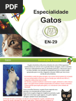 Animais Da Caatinga | PDF