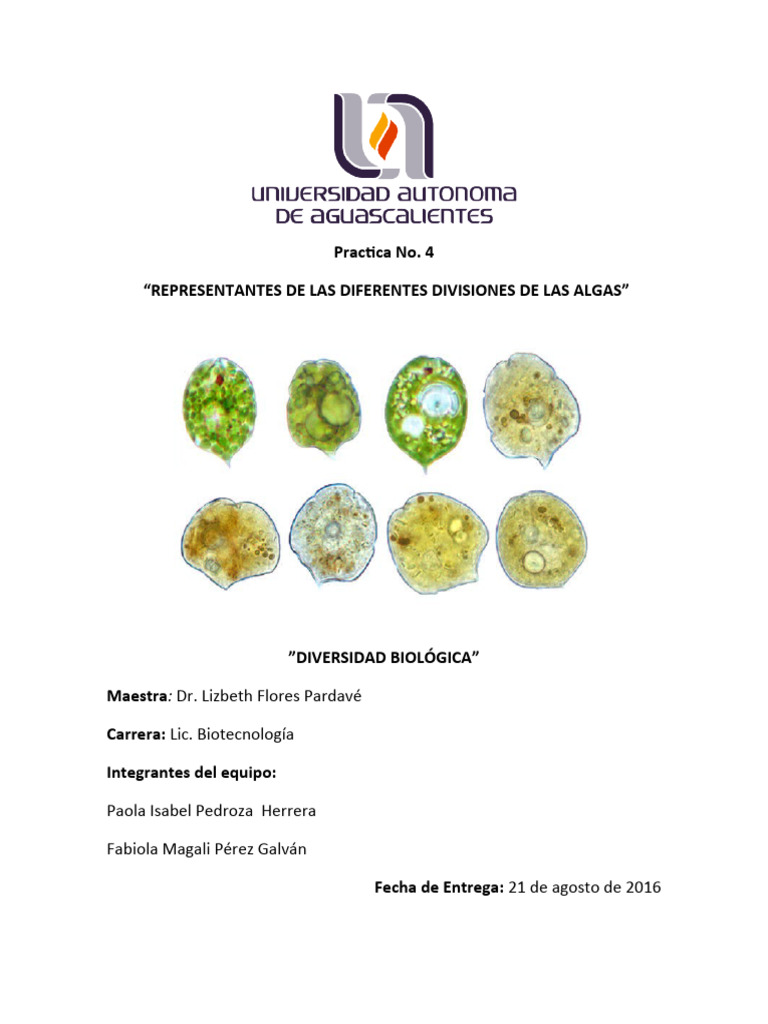 Algas Macro y Micro | PDF | Algas | Eucariotas