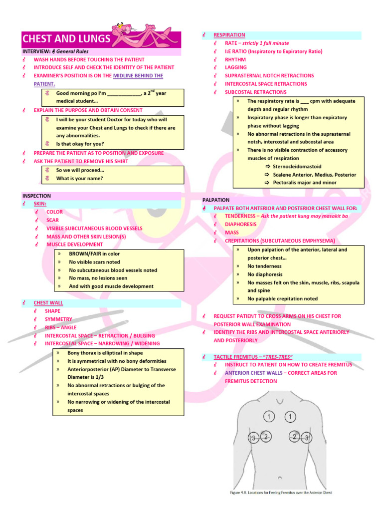 2 Chest Lungs | PDF