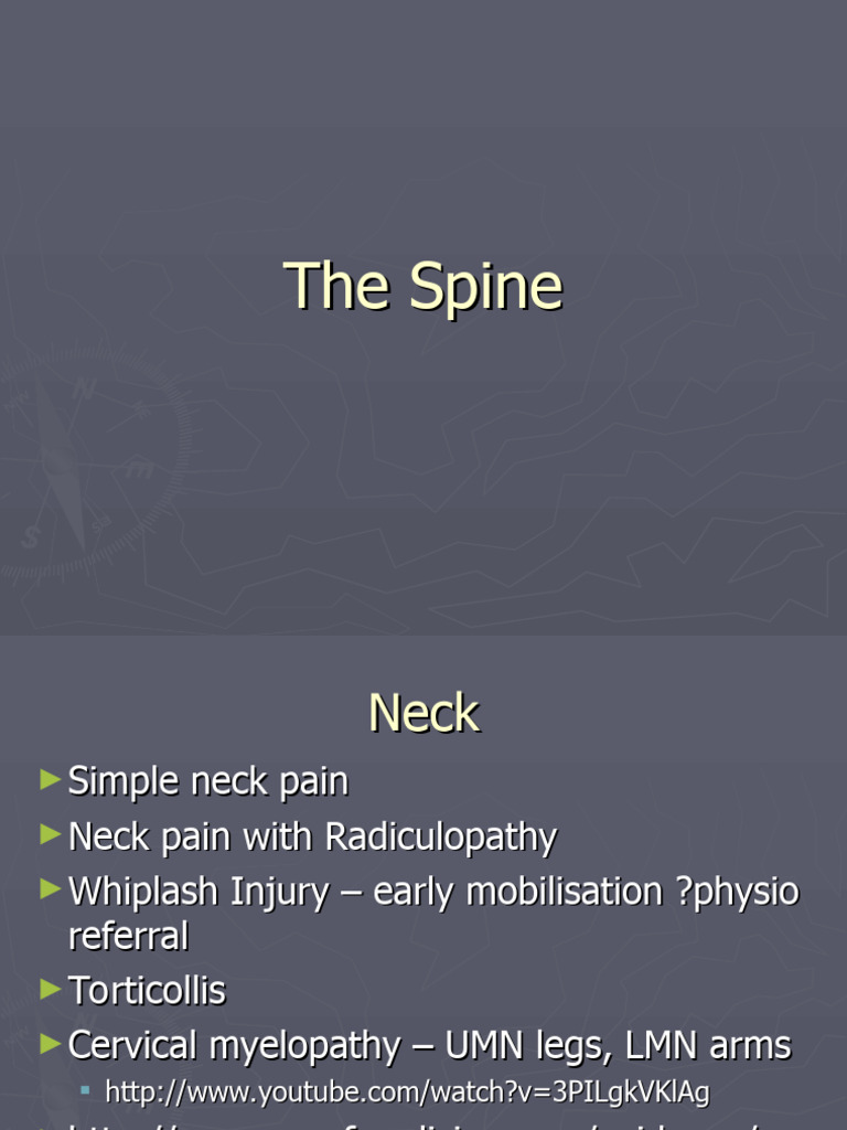 The Spine | PDF
