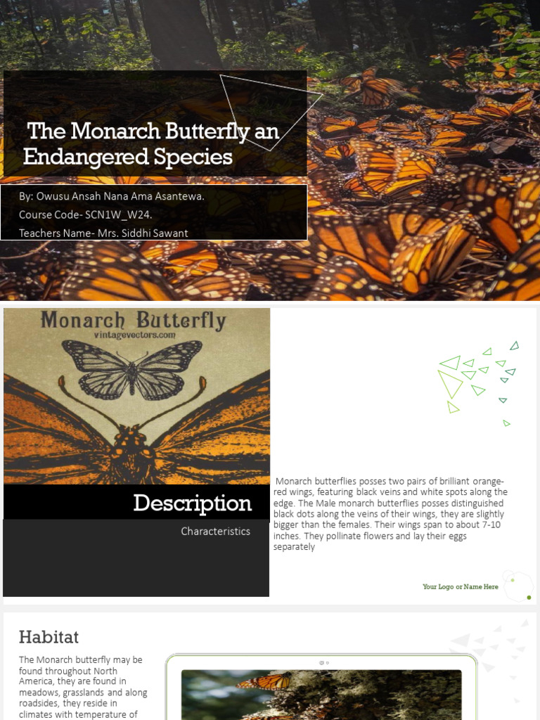 The Monarch Butterfly An Endangered Species | PDF | Butterfly | Organisms