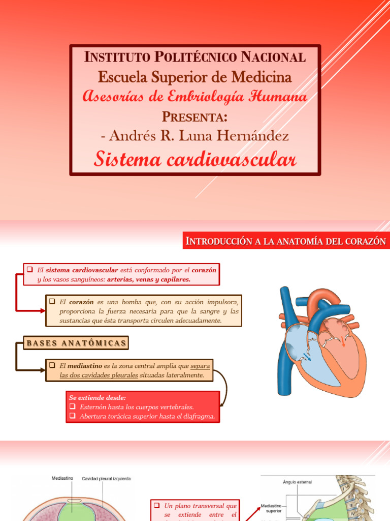 Fin de Cardiovascular 2021 | PDF | Corazón | Aorta