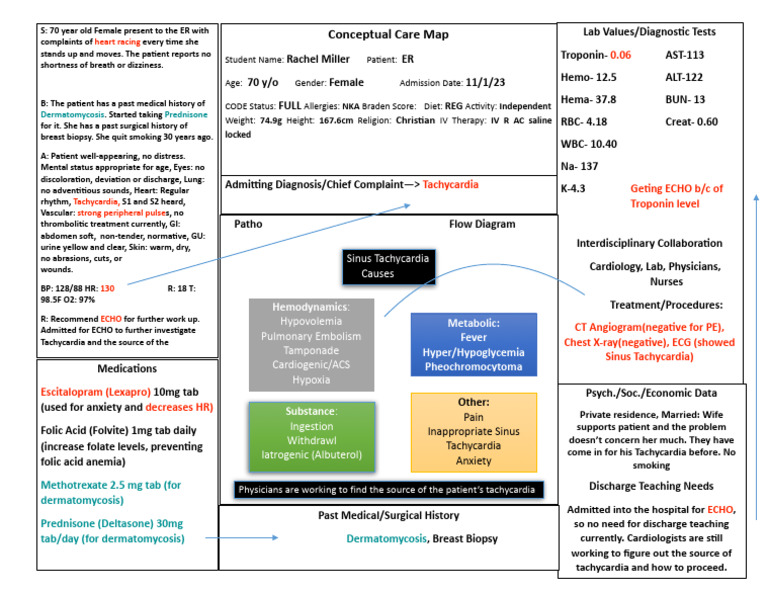 Revised Concept Care Map Rachel | PDF | Clinical Medicine | Medical Specialties