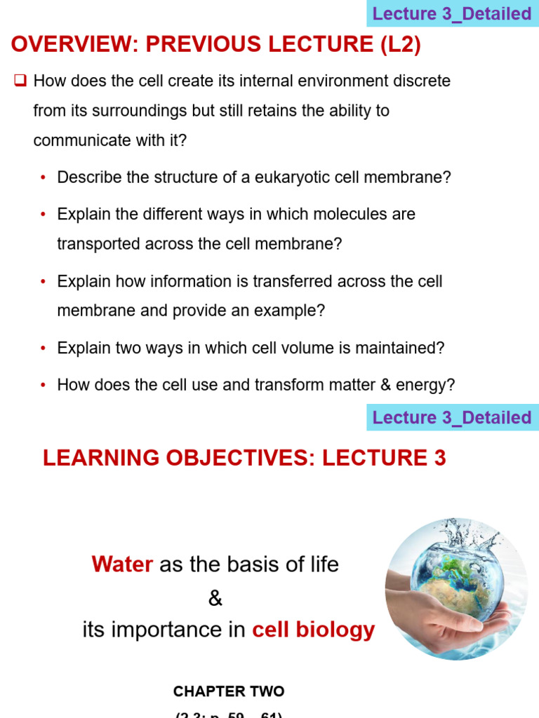 L3 Water+as+the+Basis+of+Life+%26+Its+Importance+in+Cell+Biology | PDF | Water | Molecules