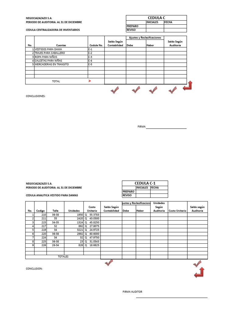 2024-03 Cedulas Inventarios Blanco | PDF | Auditoría | Ingeniería de Sistemas