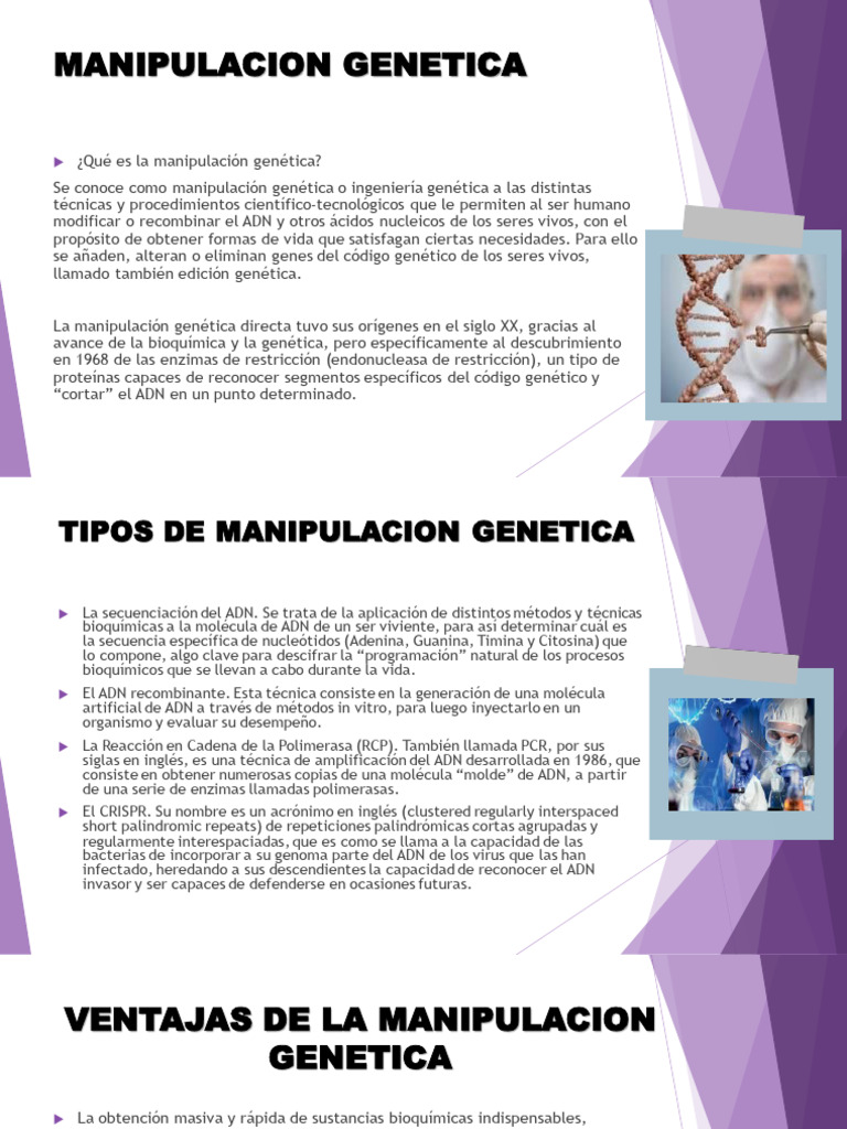 Manipulacion Genetica y Embarazo Interrumpido | PDF