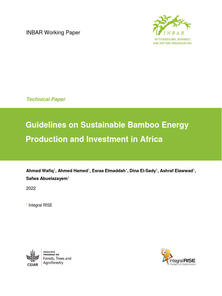 2021 Guidelines On Sustainable Bamboo Energy Production and Investment ...