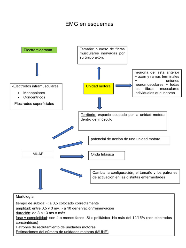 EMG en Esquemas | PDF | Electromiografia | Fisiología