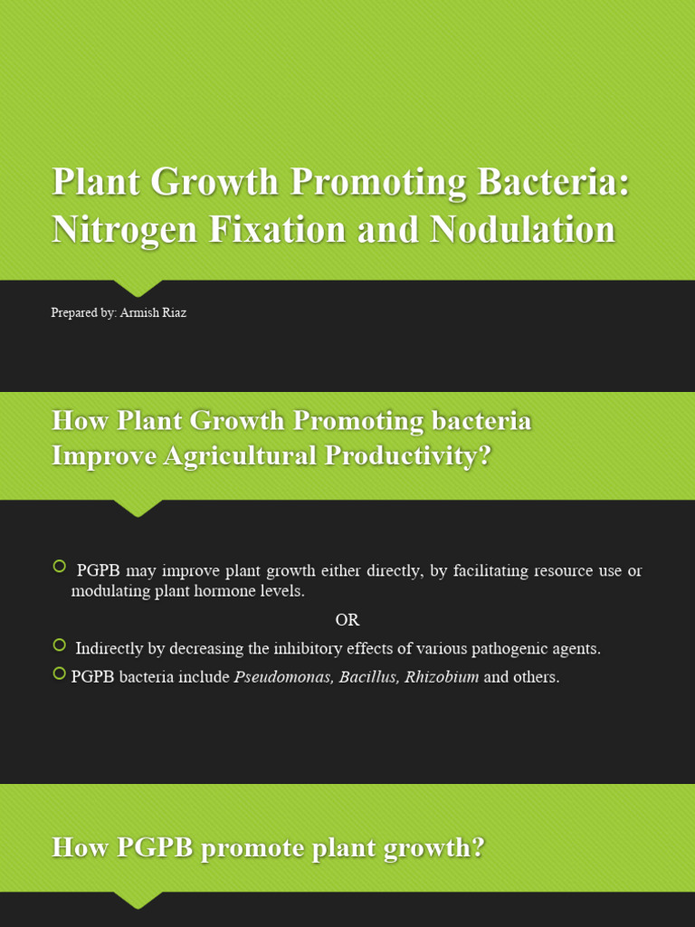 4 - Plant Growth Promoting Bacetria Nitrogen Fixation and Nodulation ...