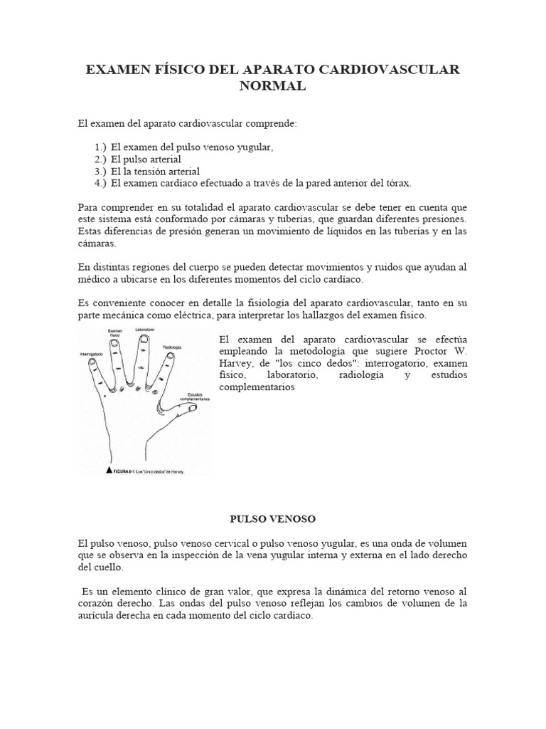 Examen Físico Del Aparato Cardiovascular Normal | PDF | Corazón ...