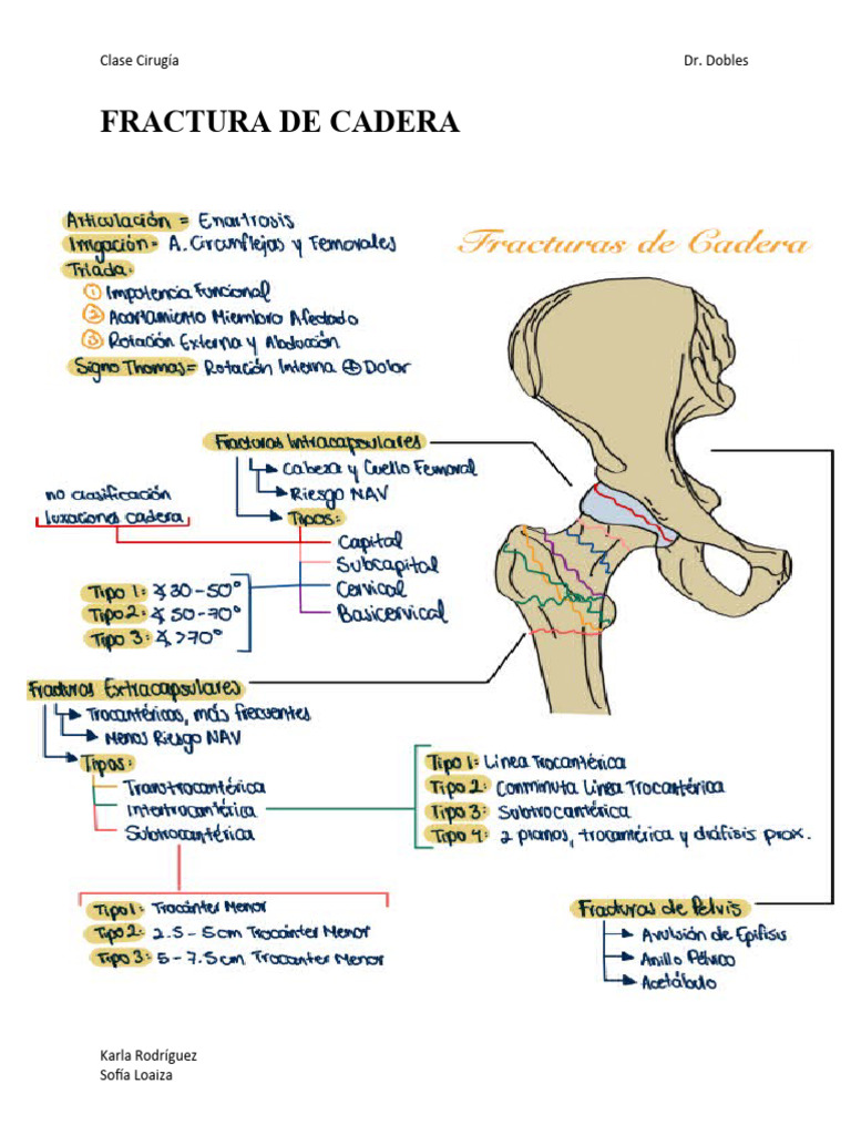 Fractura de Cadera | PDF | Pelvis | Anatomía