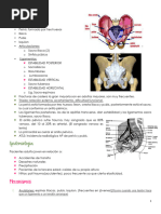 Fracturas de Cotilo | PDF | Pelvis | Sistema esquelético