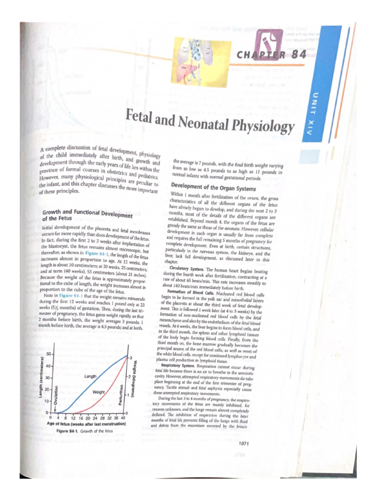 Fetal and Neonatal Physiology | PDF