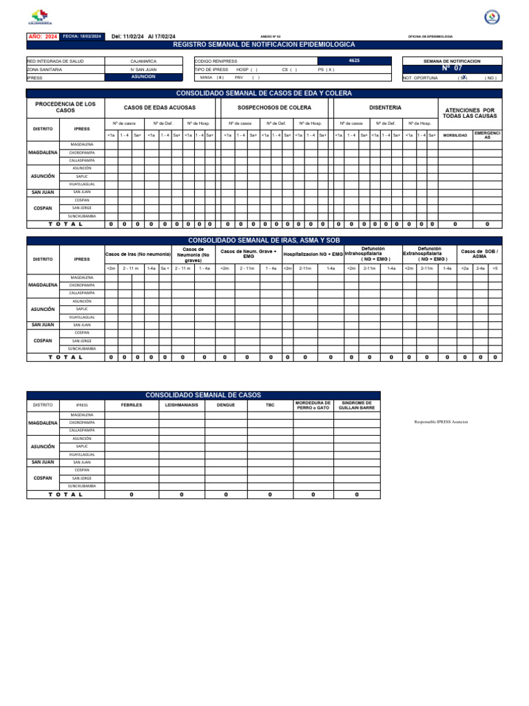 Formato Vea Ipress Asuncion | PDF