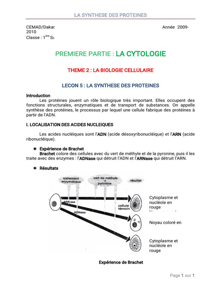 Lecon 5, La Synthese Des Proteines | PDF