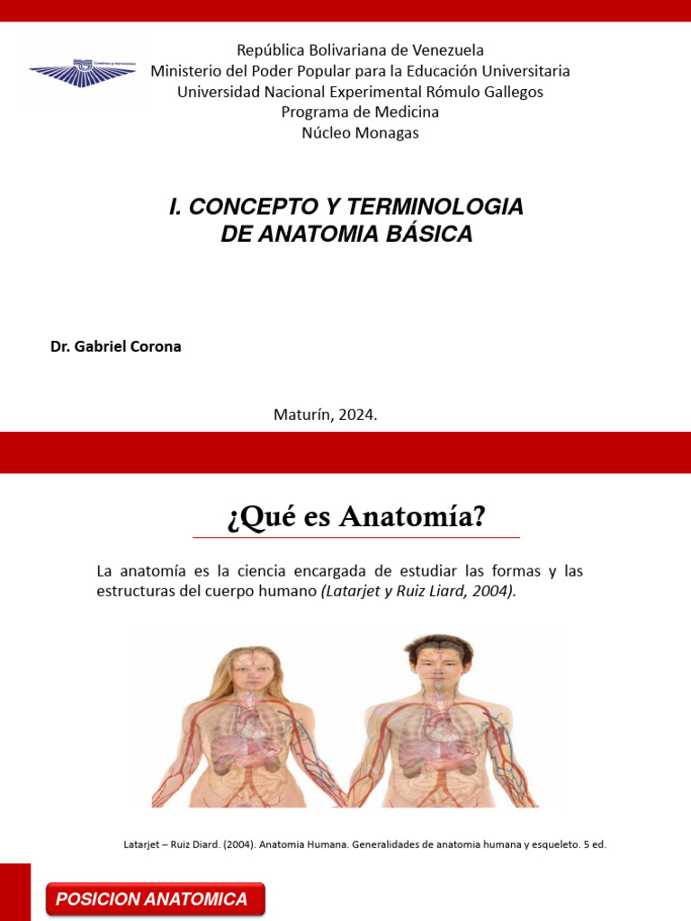 I. Concepto y Terminologia Básica Anatomica | PDF