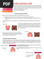 Principios PPR Apoyos, Retenedor Directo e Indirecto | PDF | Dentadura ...