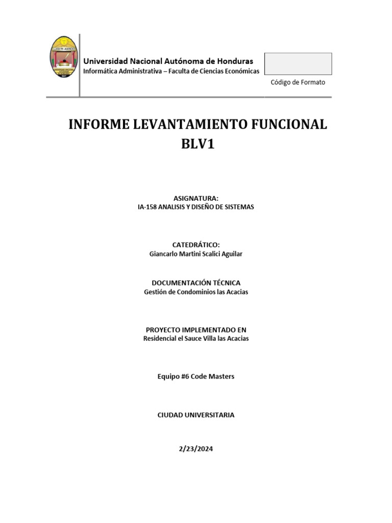 Informe Levantamiento Funcional Blueprint Level 1 | PDF