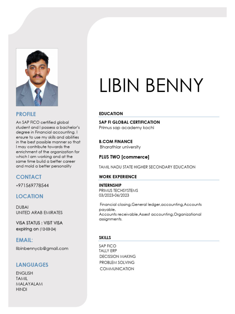 Libin Benny CV Dubai | PDF