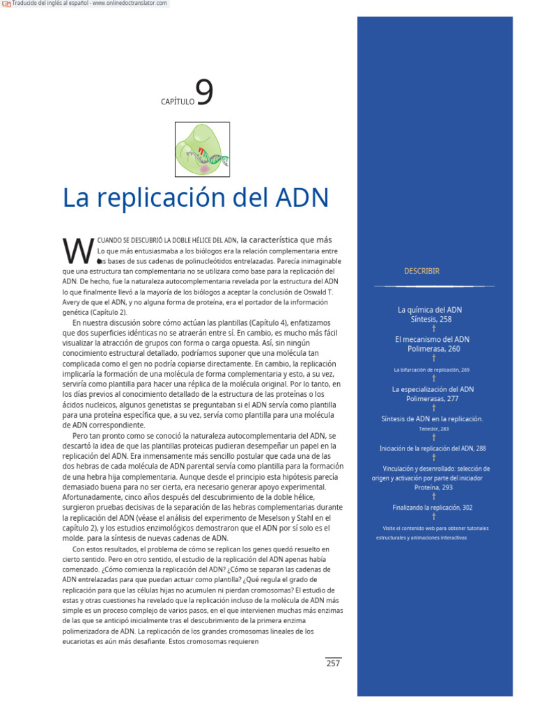 Lectura Replicación Del ADN (01-25) .En - Es | Descargar gratis PDF | Adn | Replicación De Adn