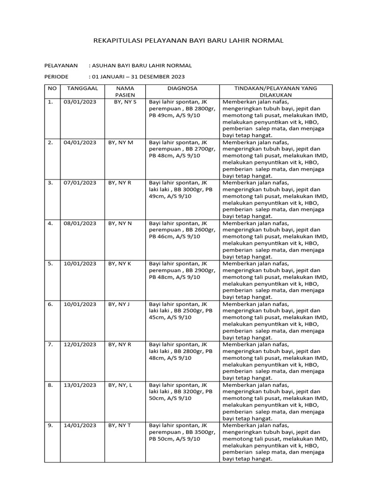 Rekapitulasi Pelayanan Bayi Baru Lahir Normal | PDF