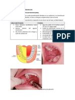 Tabla de Medidas para Dientes Permanentes | PDF | Anatomia dental | Diente