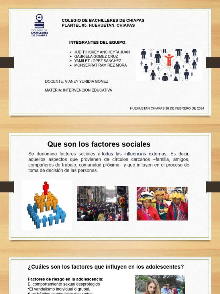 Factores Sociales | PDF