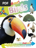 One Leg Bird Meme - Google Search | PDF