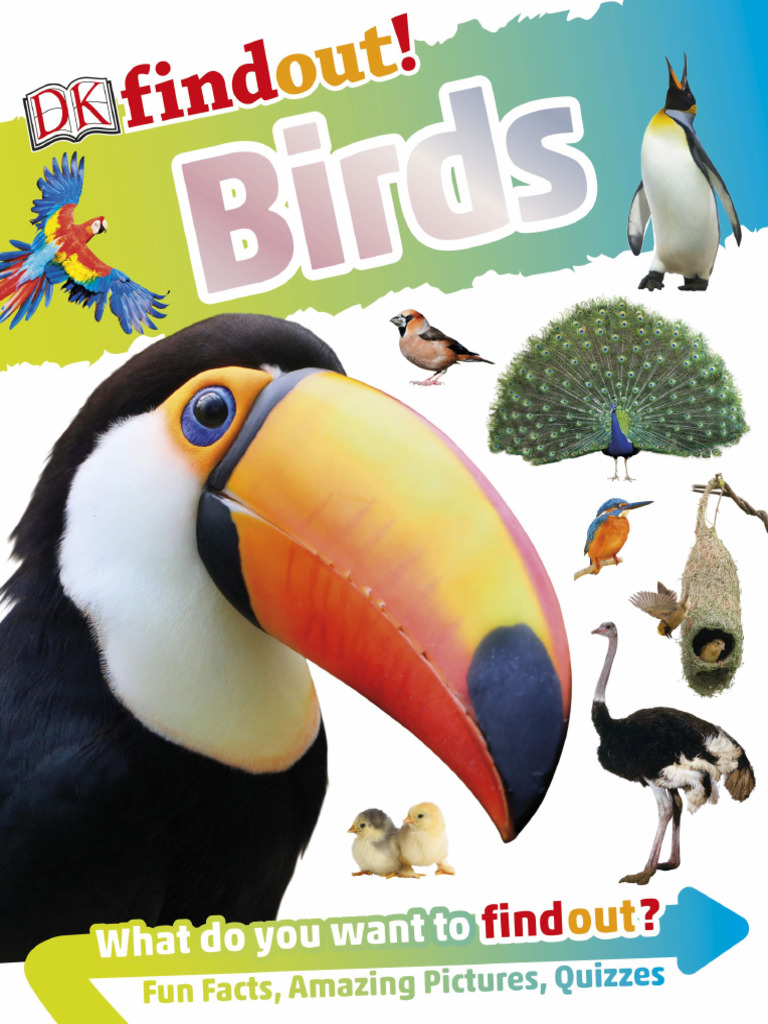 DK Findout! Birds - DK | PDF | Feather | Birds