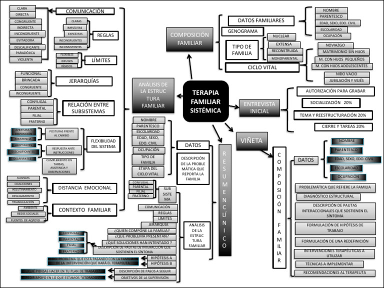 Mapa Conceptual T F S 2 | PDF