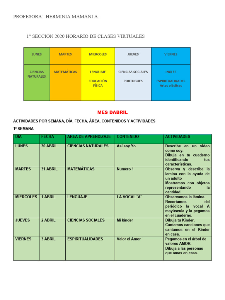 Plan Anual Virtual Herminia | PDF | Aprendizaje | Matemáticas
