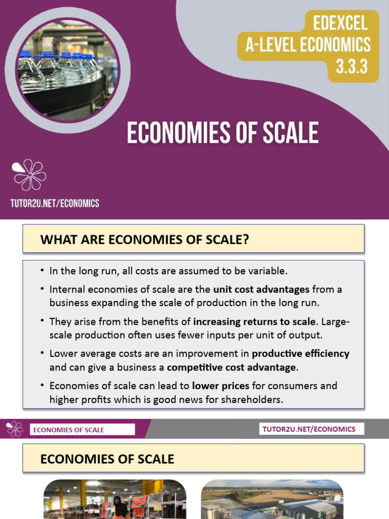 Economies of Scale Explained | PDF | Economies Of Scale | Economics