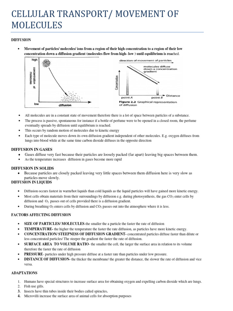 T1.7 Movement of Molecules | PDF