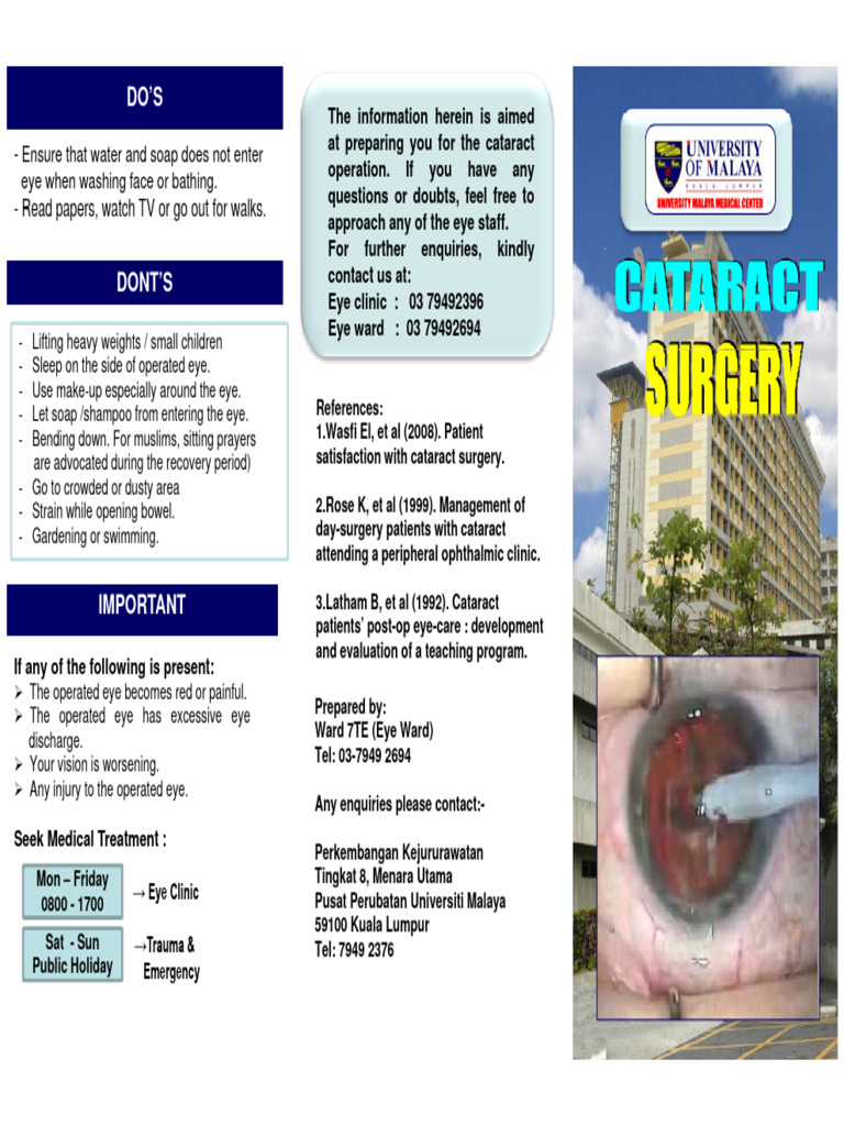 Cataract Surgery | PDF