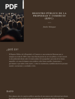 Registro Publico de Comercio | PDF | Economias