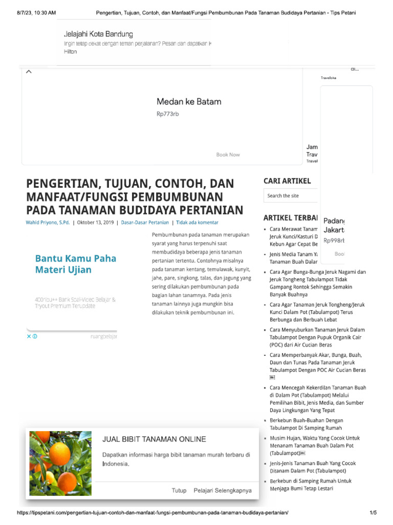 Pembumbunan | PDF