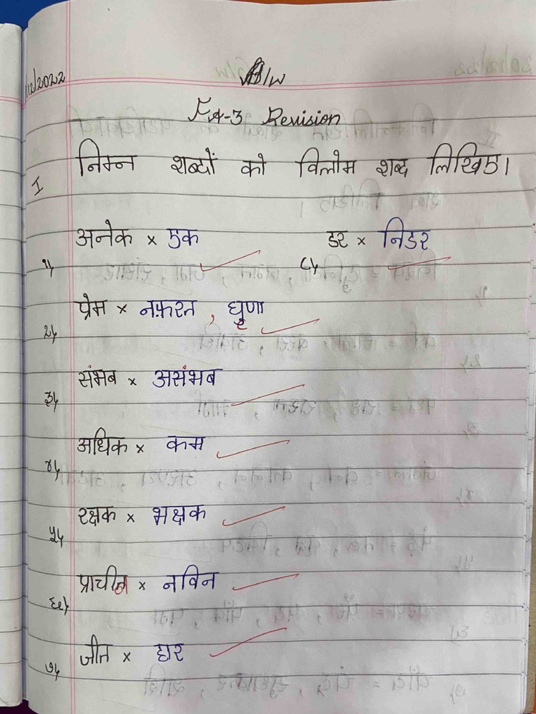 Class - 5 Hindi Revision | PDF