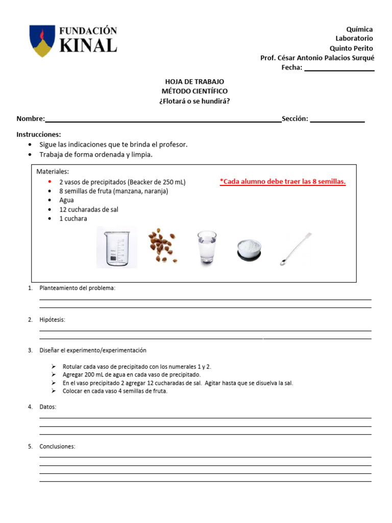 Hoja de Trabajo Método Científico | PDF | Cognición | Science