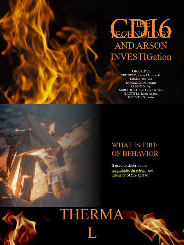 Arson Group 2 Pdf