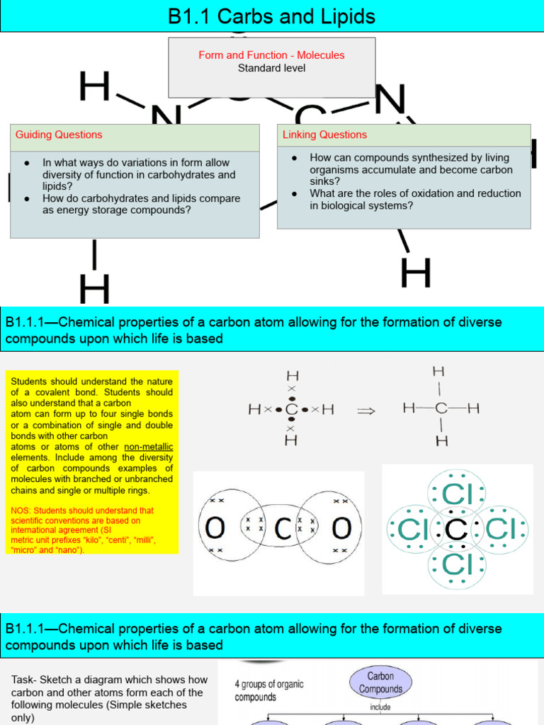 B1.1 Carbs and Lipids | PDF